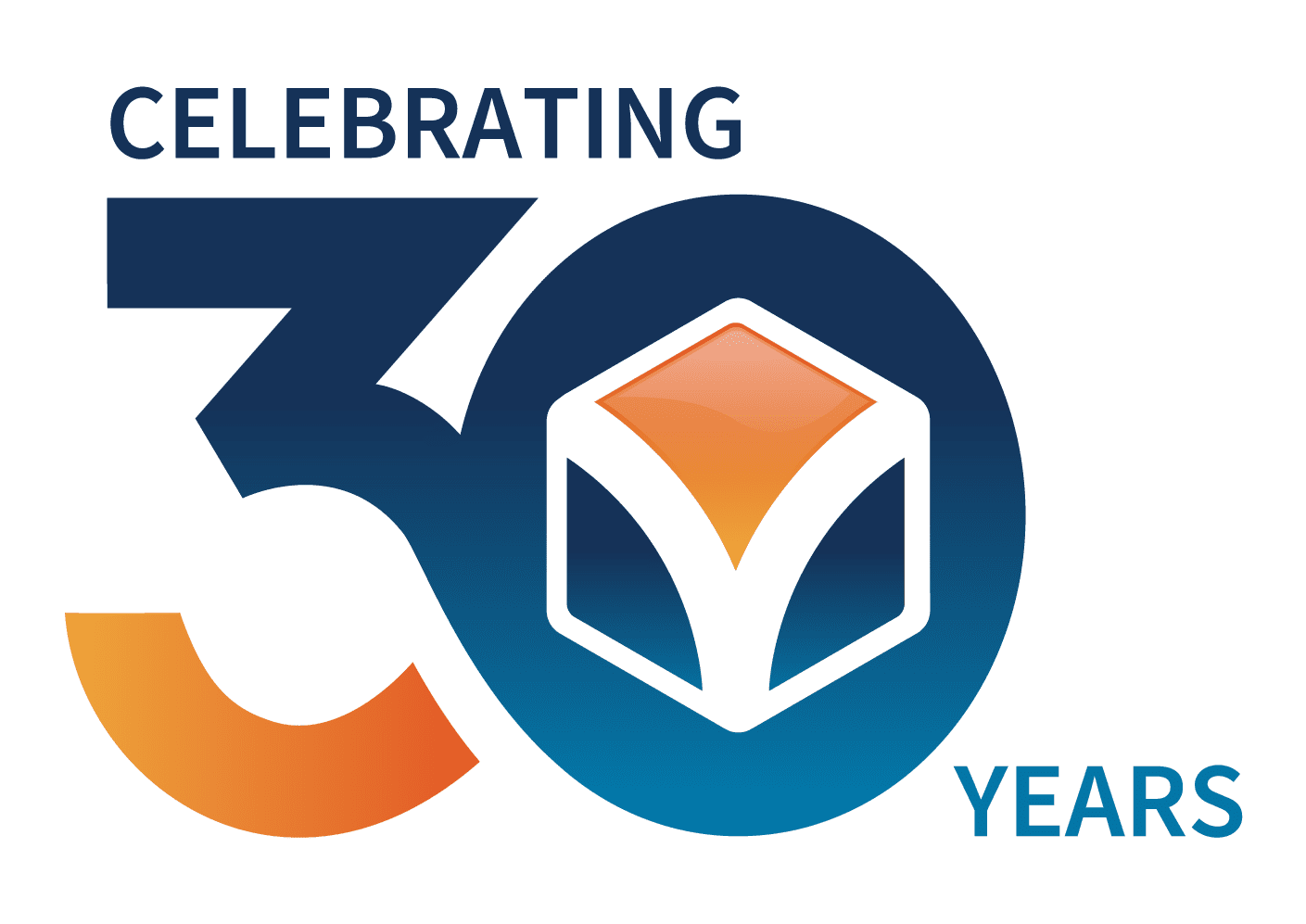 Vision Computer Solutions: Your IT Security Partner